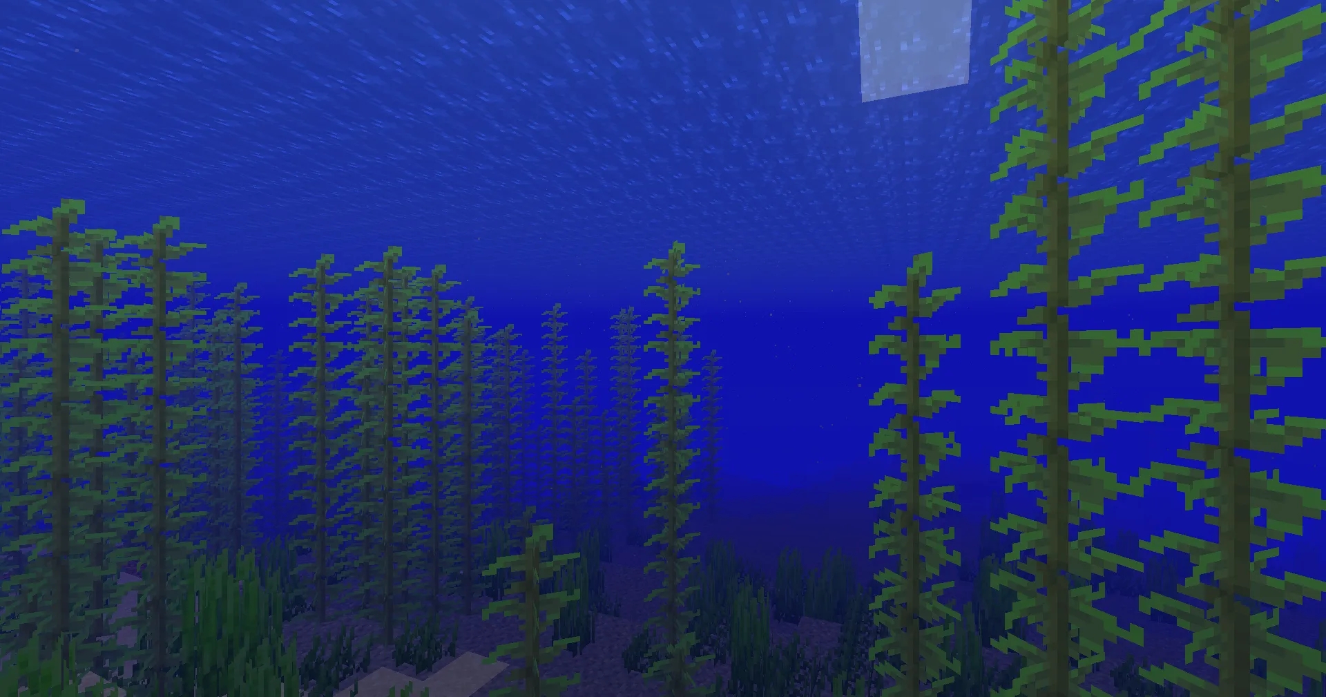 Sora Shaders: Realistic Shader for Minecraft » WIKI-MINE | All About ...